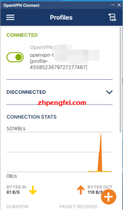 OpenVPN AS 基于web管理OpenVPN服务,修改用户限制, OpenVPN 客户端使用教程